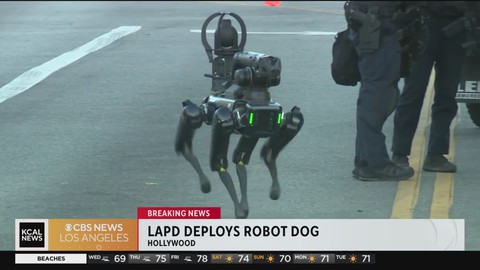 LAPD deploys robot dog to help with standoff in Hollywood | Haystack News