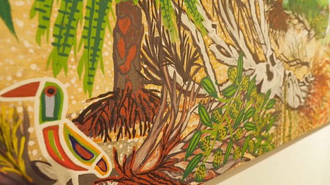 Sister artists celebrate Aboriginal culture and vibrancy of northern ...