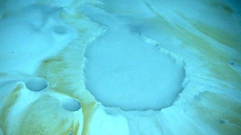 These Deadly Deep-Sea Brine Pools Are Death Traps for Sea Life, But a ...