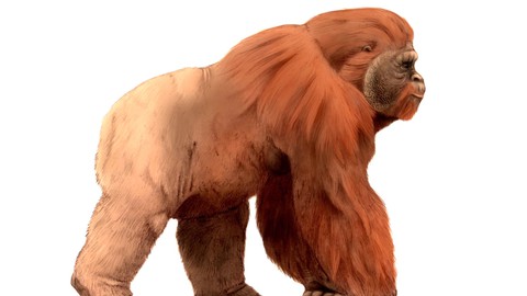 Paleontologists Might Finally Know Why the Biggest Ape to Ever Live ...