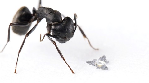 Could This Be The Smallest Man-Made Flying Machine In the World ...