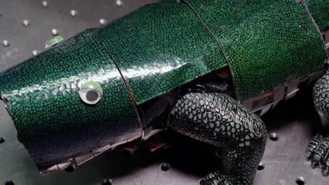 This Chameleon Robot Can Actually Blend In With Its Surroundings Like ...