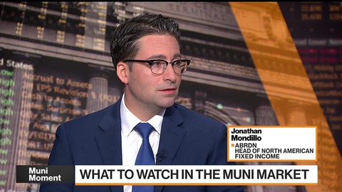 Expect Munis to Perform Well in 2024: Abrdn's Mondillo | Haystack News