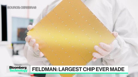 Cerebras CEO on 'Largest Ever Made' AI Chip | Haystack News