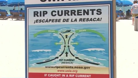 Six people have died in Florida after they were caught in rip currents ...