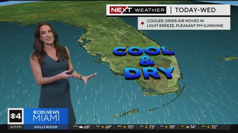 Miami Weather for Monday 2/19/2024 12PM | Haystack News