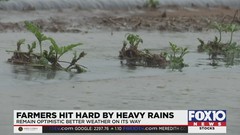 Haystack News: Free news from 300+ local & global channels