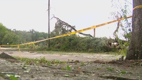 'Never experienced anything like this': Severe weather topples trees ...