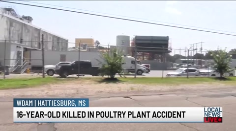 Former OSHA official on 16-year-old killed in poultry plant | Haystack News