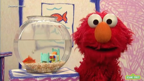 Elmo asks on X how everybody is doing - and people aren't OK | Haystack ...