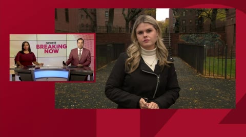 Police: Officers fatally shot suspect in Brooklyn double homicide of ...