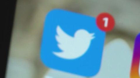 Meta looks to rival Twitter with possible new app | Haystack News