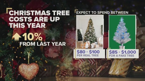 Christmas tree prices rise 10 percent | Haystack News