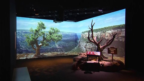 MOS-Boston offers immersive look at impact of climate change | Haystack ...