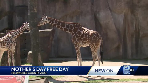 Free admission for mom brings families to Milwaukee County Zoo for ...