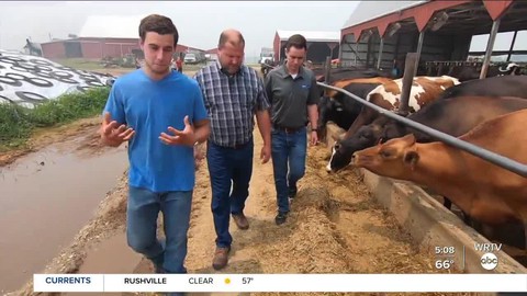 This Hoosier family is living out their dairy farm dream | Haystack News
